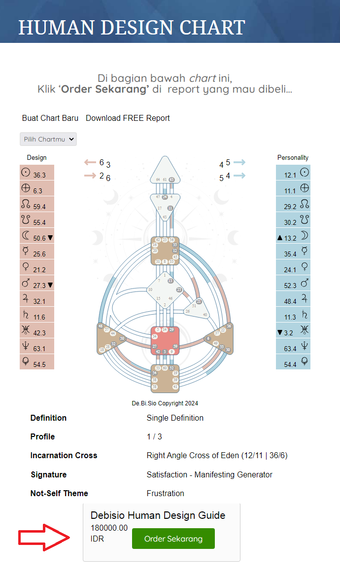 Cara Order Report - Debisio - Human Design Report Indonesia - Healing ...